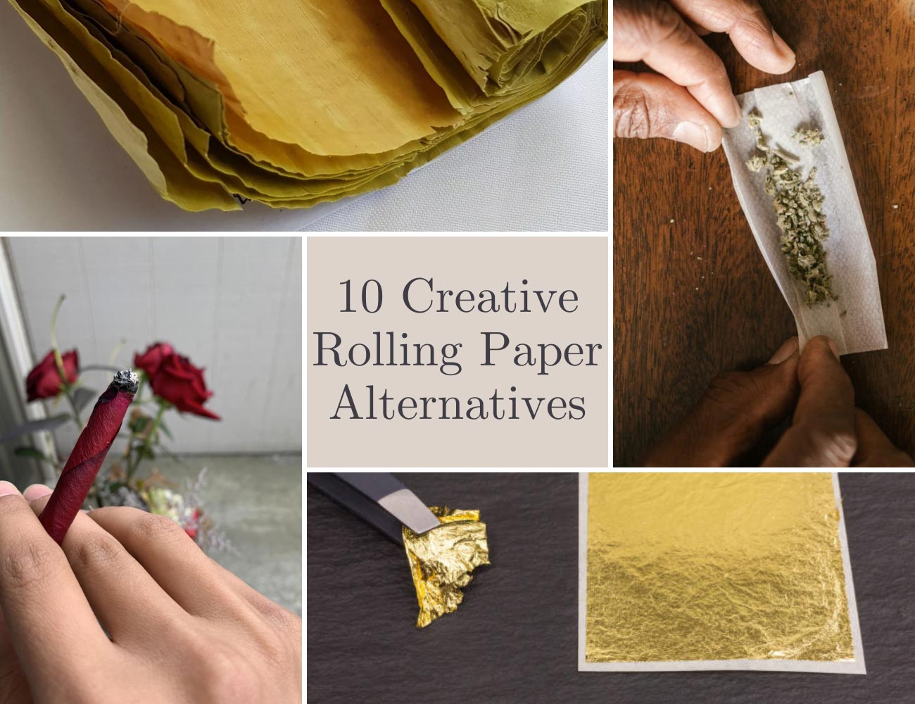 10 Creative Rolling Paper Alternatives for a Healthier and Sustainable ...