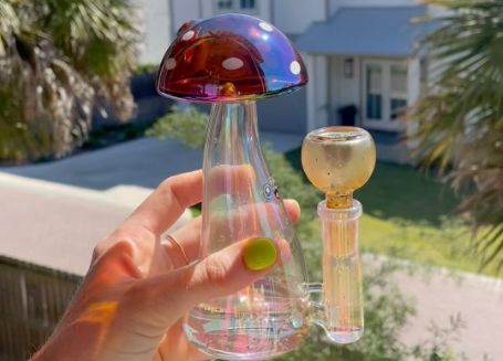 The Magic of Fungi: 7 Best Mushroom Bongs – PILOTDIARY
