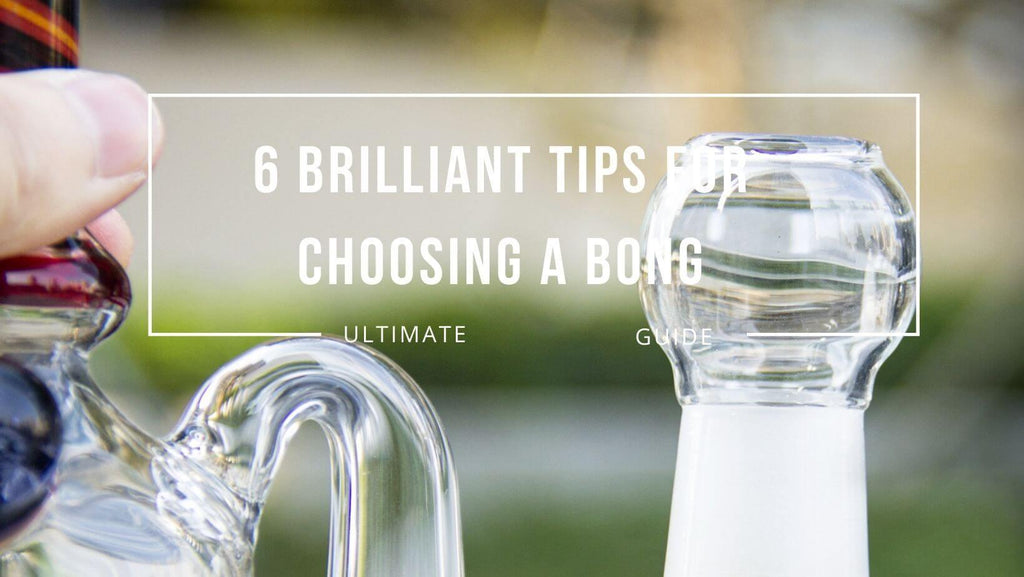6 Brilliant Tips for Choosing a Bong | PILOT DIARY – PILOTDIARY